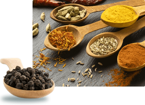 About Us | Pradip eCommerce